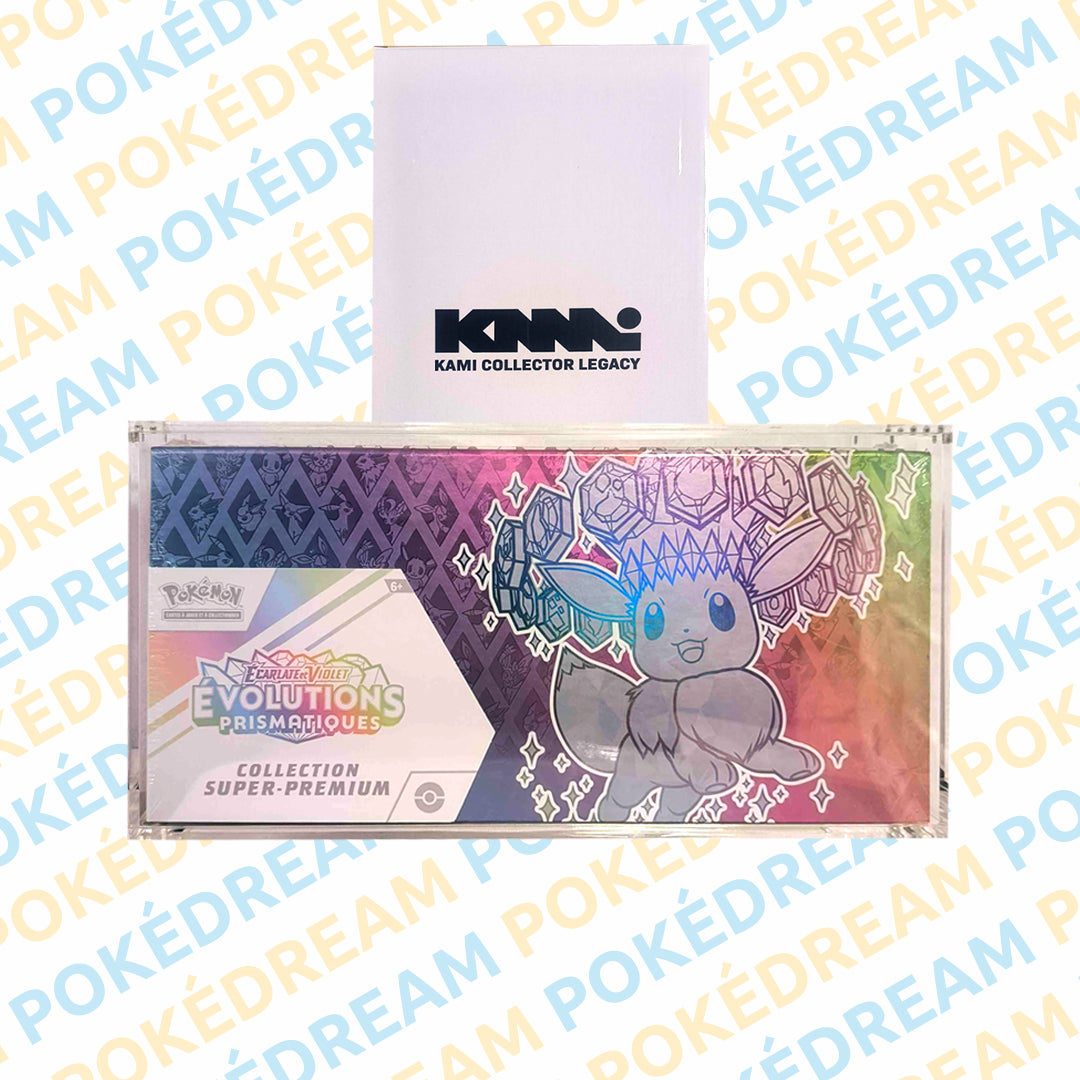 Protection acrylique KAMI - SPC Pokémon – Pokédream
